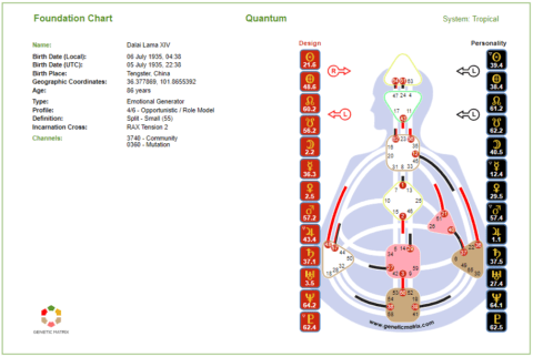 Comprendre le type Générateur en Design humain - AlineMaurer.com